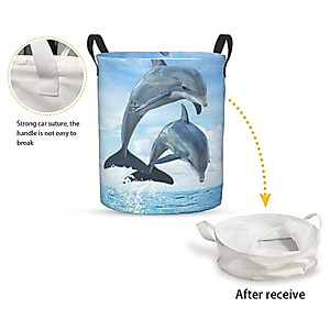 KiuLoam Dolphins 19.6 Inches Large Storage Basket Collapsible Organizer Bin Laundry Hamper for Nursery Clothes Toys