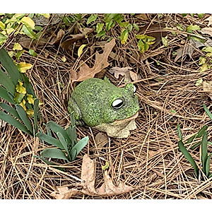 Top Brass Chunky Frog Key Hider Figurine - Cute Toad Garden Statue with Secret Compartment - Indoor / Outdoor