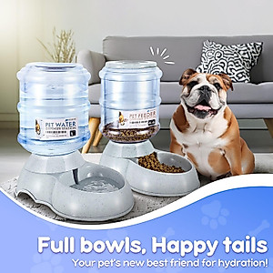 Flexzion Automatic Pet Feeder & Waterer Set of 2 Pack, Self Feeding Replenish Dog Cat Bowls, Gravity Food & Water Storage Container Fountain Jug Pet Supplies Plastic Skid Proof Rubber Feet (1 Gallon)