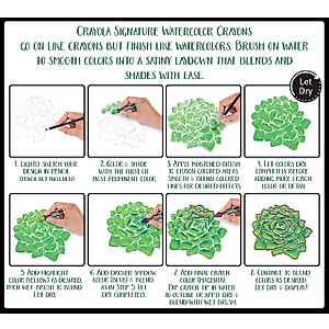 Crayola Signature Premium Watercolor Crayon Sticks & Paintbrush, 12 Count, Gift