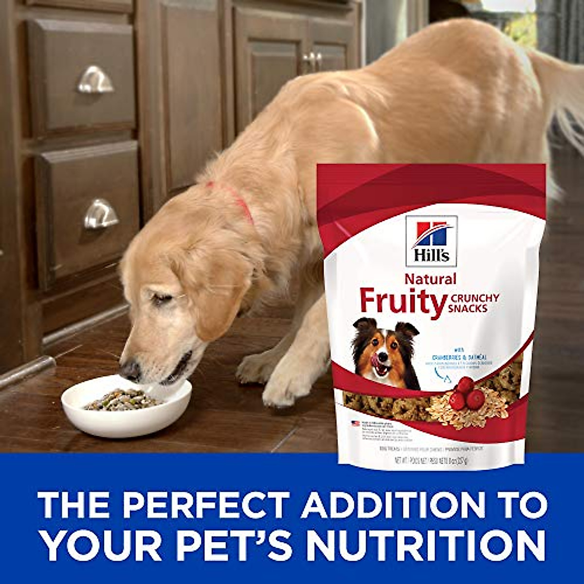 Hill's Dog Treats Crunchy Fruity Snacks with Cranberries & Oatmeal, Healthy Dog Snacks, 8 oz Bag
