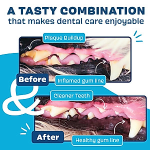 Bark Bright Original Dog Dental Kit - 30 Teeth Cleaning Chew Sticks & Toothpaste - Medium Breeds