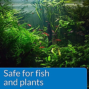 Aquarium Pharmaceuticals 31C pH Up Aquarium pH Adjuster, 4 oz.