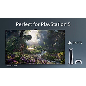 Sony XR55A95K 55" 4K BRAVIA XR HDR IMAX Enhanced Smart OLED TV with an Additional 4 Year Coverage by Epic Protect (2022)