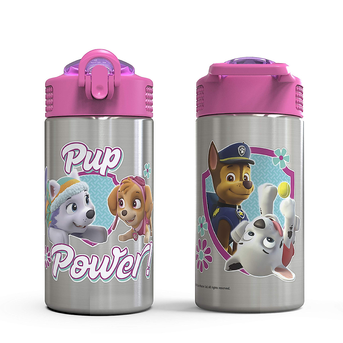 Zak Designs Paw Patrol Skye - Stainless Steel Water Bottle with One Hand Operation Action Lid and Built-in Carrying Loop, Straw Spout is Perfect for Kids (15.5 oz, BPA-Free)