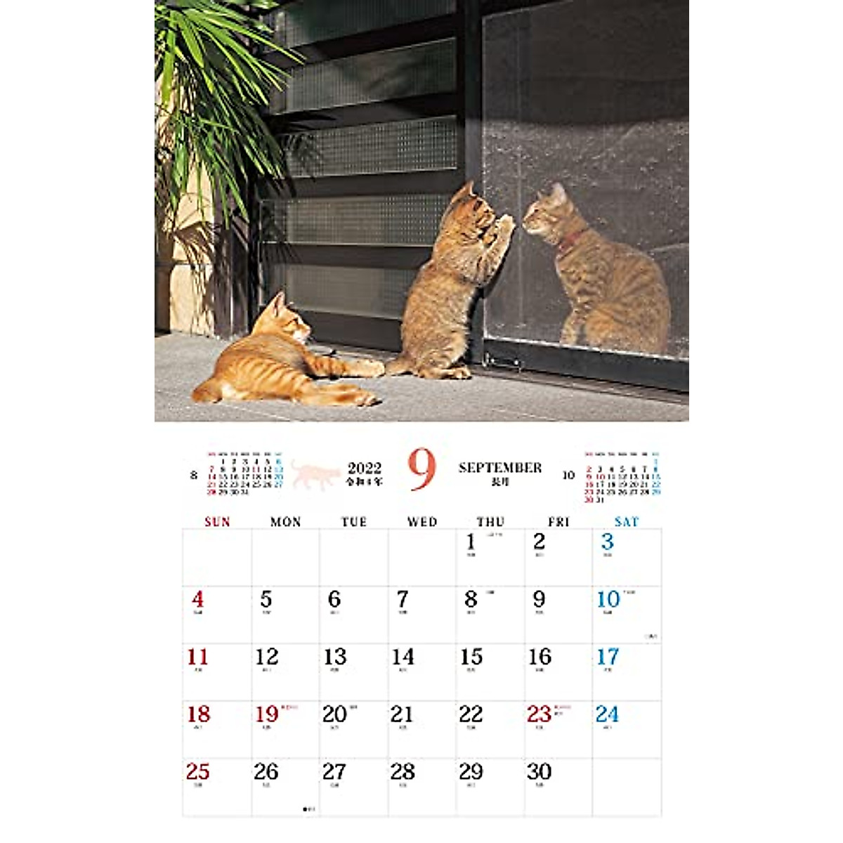 そとねこ (インプレスカレンダー2022)