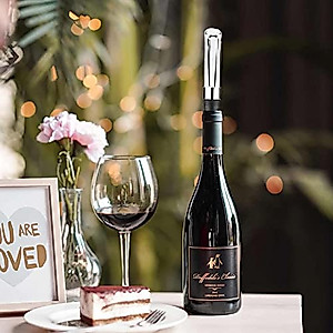 Wine Chiller Wine Aerator, 3-in-1 Stainless Steel Iceless Wine Bottle Cooler Stick, Aerating Pourer and Decanter Spout - Perfect Wine Accessories Gifts