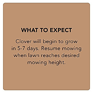 Scotts Turf Builder Clover Lawn, Greener Lawn with Less Maintenance, 2 lbs.