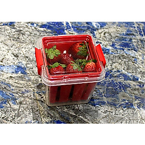 Fruit and Vegetable Saver Storage Basket Strawberries Blueberries - Promotes Airflow and Prevents Spoilage Produce Storage Container with Lid BPA-FREE
