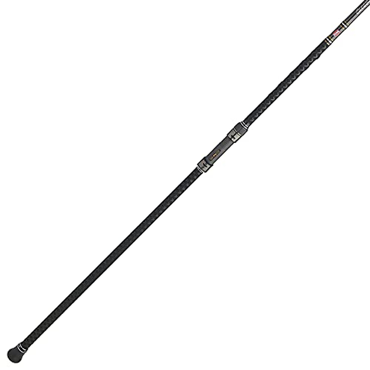 PENN Carnage III Surf Conventional Fishing Rod, Silver/Black/Gold, 10' - Medium - 2pc