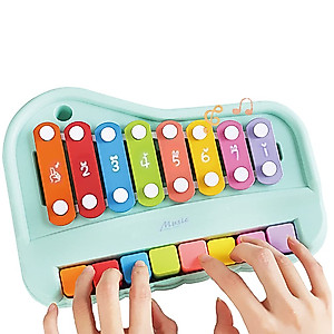 Cidupe Kids Piano Xylophone Musical Instruments Toys - 2 in 1 Percussion Instruments for Baby Preschool Educational with 8 Multicolor Key Scales Toy