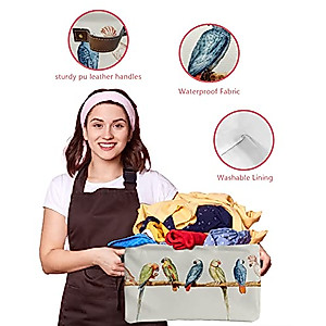 Storage Bins, Parrot Bird on Branch Storage Baskets for Organizing Closet Shelves Clothes Decorative Fabric Baskets Large Storage Cubes with Handles