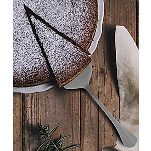 sansheng 5 Pack Stainless Steel Cake Server, Stainless Steel Pie Machine Cake Rack Handle Scraper Slot Pizza Machine Cutting Knife Professional Shovel Server