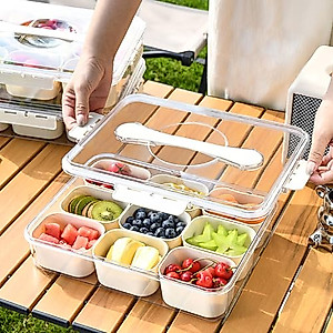 2 Pack Portable Picnic Parties Fruit Tray, 9 Compartment Fridge Food Veggie Condiment Divided Serving Preservation Storage Containers, Kitchen Clear Snackle Box Candy Organizer with Lid Handle