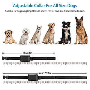 KOCASO Electric Dog Fence System, Covers up to 1.2 Acre, for Dogs Over 4 lb, 2 Ajustable Waterproof Collar with 984 Feet Wire,Suitable for Small, Medium, Large Dogs (Black 2) (with 2 Collars)