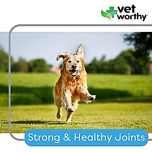 Vet Worthy Joint Support Level 1 Liver Flavored Chewable Tablet for Dogs (90 ct)