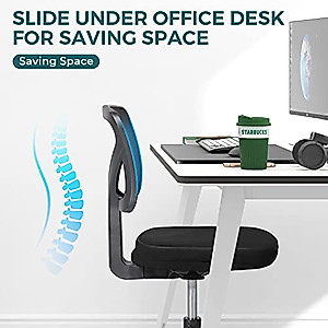 Swivel Computer Office Mesh Desk Chair Armless Small Desk Chair Adjustable Black Computer Task Chair No Armrest Mid Back Home Office Chair for Small Spaces