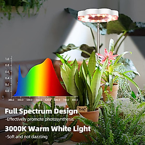 PDGROW LED Grow Light for Indoor Plants, Full Spectrum Plant Halo Lights with Red Light, Height Adjustable Growing Lamps with Timer, 3 Lighting Modes & 10 Dimmable Brightness for Small Plants (1 Pack)