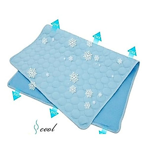 ITOMEN Pet Bed Pet Mat Breathable Washable Pad Dog Cat Blanket Kennel Crate and Bed Sleeping Ice Silk Comfort (Color : Light Blue, Size : XS 40x30 cm)