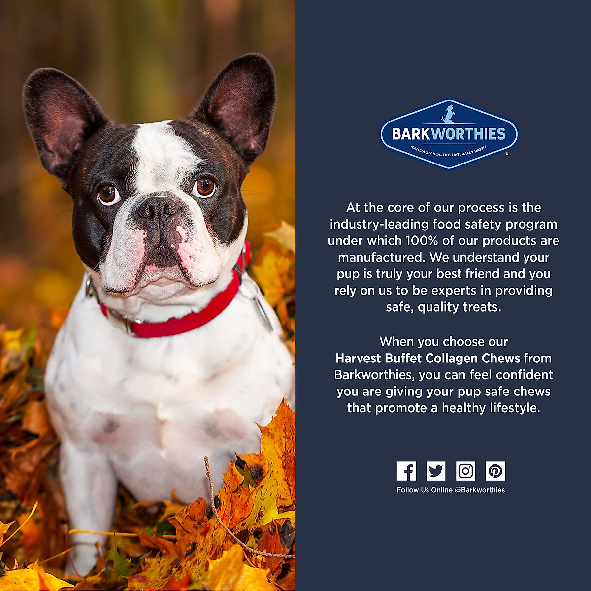 Barkworthies Harvest Buffet Collagen Sticks (6-Inch, 3-Count) - Great Tasting, Easily Digestible, Variety Pack, Dog Chew