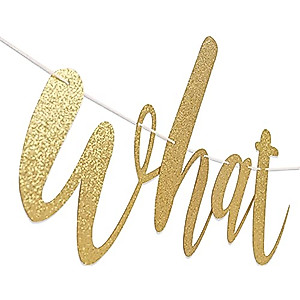 He She What Will It Bee - Golden Glitter Party Banner Decorations, Bee Gender Reveal Banner, Bee Theme Baby Shower, Baby Shower Shower Banner，golden Glitter Banner