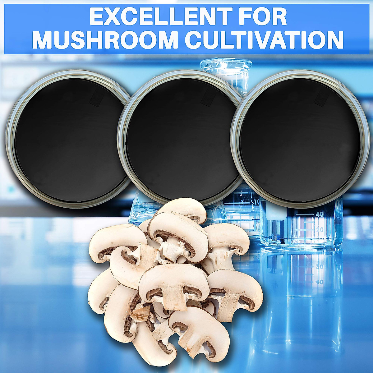 Potato Dextrose Agar Powder With Activated Charcoal 100 Grams - Evviva Sciences - Make Up To 105 Agar Petri Dishes - Excellent Growth Medium for Mushrooms & Science Projects