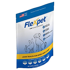 Flexpet Maximum Strength Soft Chews – All-Natural Pain Reliever for Dogs with Glucosamine and Cetyl Myristoleate (CM8), Hip and Joint Supplement, Anti-Inflammatory: Single Pouch - 60 Soft Chews