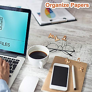 Small Rose Gold Bulldog Clips - Coideal 30 Pcs Mini Metal Binder Paper Hinge Clip Office Clamps for Picture Photos (22mm)