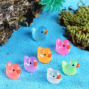10Pcs Blue Miniature Duck Miniature Animal Figures, Lovely Ornaments, Ornament for Present for Home Decoration