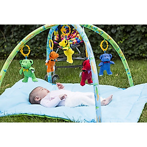 Grateful Dead Dancing Bear, Infant, Interactive Plush Toy & Rattle by daphyls