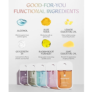 Touchland Power Mist Hydrating Hand Sanitizer Spray, TOP 5-PACK (Applelicious, Sandalwood, Lavender, Berry, Citrus), 500-Sprays each, 1FL OZ Travel Size (Set of 5)