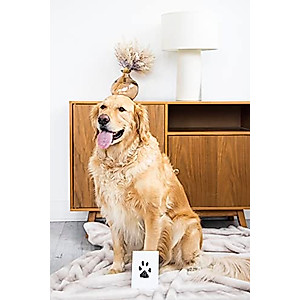 Pearhead Pet Clean-Touch Ink Pad, Medium/Large, Black Ink Pad for Cats or Dogs, Pet Owner, Pet Owner Must Have Item, Pet Memory Keepsake, for Medium to Large Pets