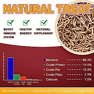 NO 24 Oz Premium Canned Steamed Juicy Mealworms for Reptiles, Amphibians, Birds -an Alternative to Live Meal Worms for Bearded Dragon,Wild Birds etc