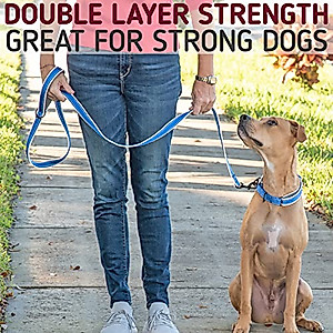 Leashboss Reflective Martingale Collar and 6 Ft Leash with Padded Handle, Medium Collar 14.5-17" Neck, Blue