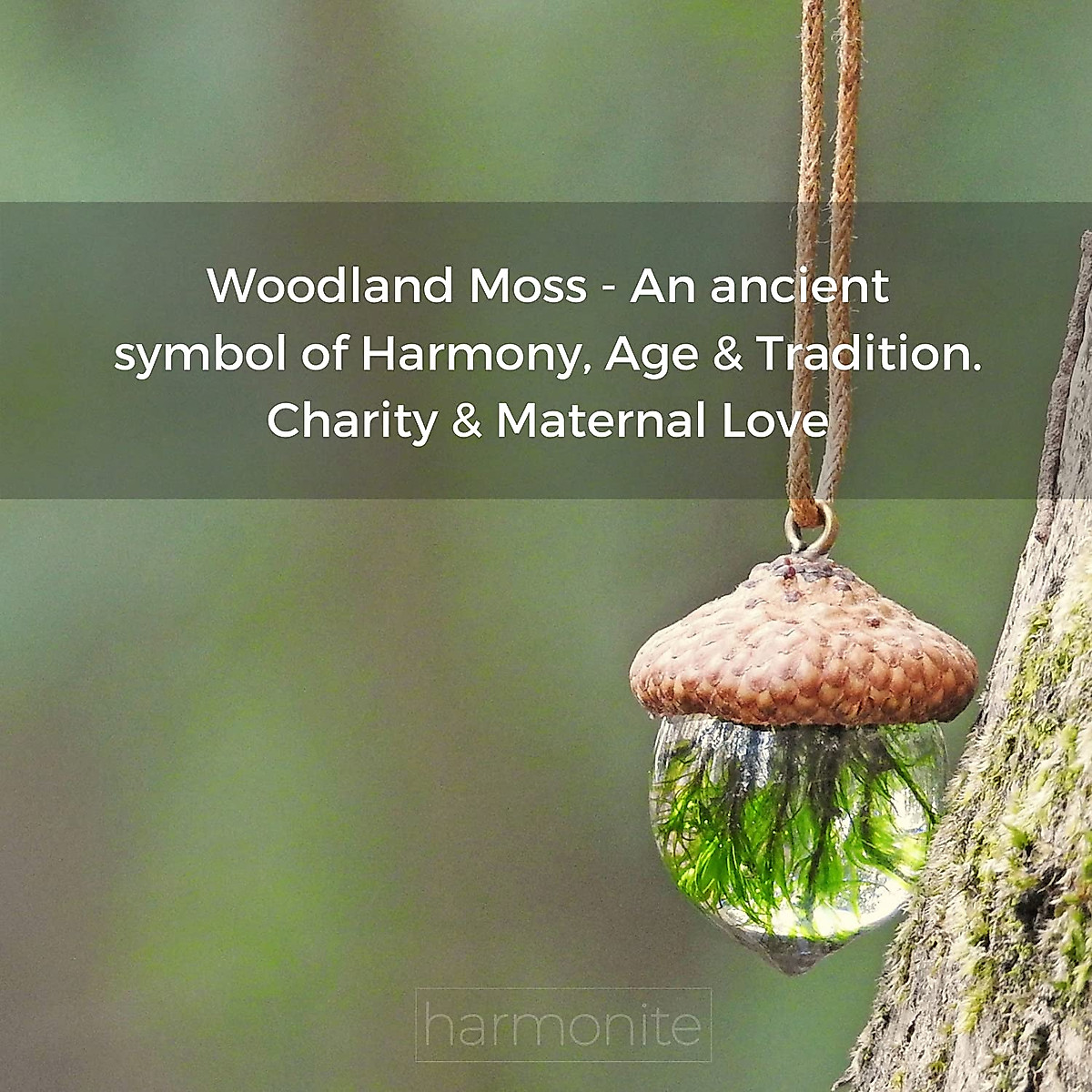 HARMONITE English Acorn Pendant Necklace for Women and Men. Handmade Natural Gift of Moss Jewelry for Motherhood, Maternity, or as Spiritual Unique Gifts Set in Eco Resin