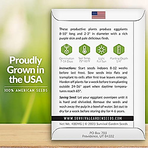 Survival Garden Seeds - Long Purple Eggplant Seed for Planting - Packet with Instructions to Plant and Grow Skinny Italian Aubergine Plants in Your Home Vegetable Garden - Non-GMO Heirloom Variety