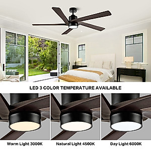 WINGBO 64 Inch DC Ceiling Fan with Lights and Remote Control, 5 Reversible Carved Wood Blades, 6-Speed Noiseless DC Motor, Modern Ceiling Fan in Matte Black Finish with Walnut Blades, ETL Listed