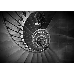 OM SYSTEM OLYMPUS M.Zuiko Digital 17mm F1.8 Black For Micro Four Thirds System Camera, Compact Design, Beautiful Bokeh, Bright