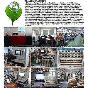 EMBRACESUN 3000mAh Rechargeable Battery Holder RYO4 Li-ion Battery 4V Replacement for Ryobi 4V Battery RP4520 RP4530 Tek4(130166025) RP4300 Compatible with Ryobi HP54L