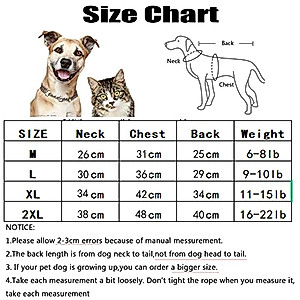 Dog Sweater Winter Clothes Puppy Soft Coat Warm Puppy Dogs Shirt for Small Medium Dog (2XL)