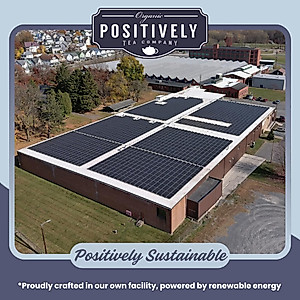 Organic Positively Tea Company, White Peach Lemonade Tea, Loose Leaf, 4 Ounce