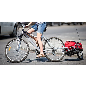 One wheel Maya Cycle Bicycle cargo Trailer