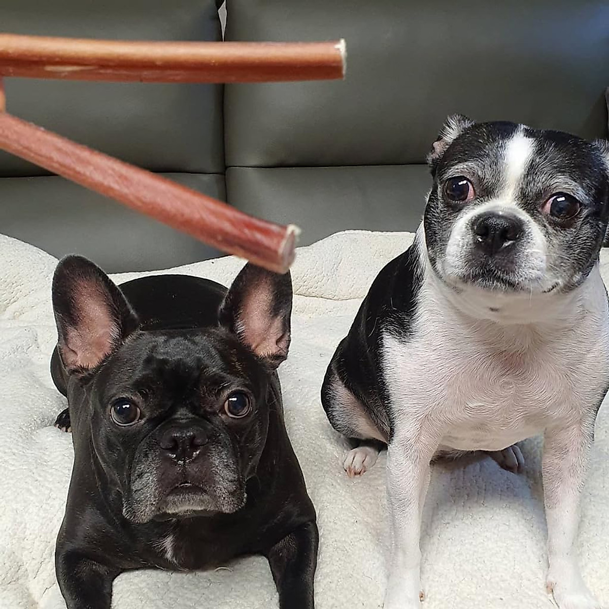 AWARDOG Odor-Free Bully Sticks (6 Inch, 12 Pack Standard Thickness), Fully Digestible 100% Beef Pizzle Chews, Grass-Fed, Grain-Free, Natural Long-Lasting Chews for Small & Large Dogs -12 Count