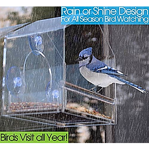 Nature Gear Window Bird Feeder - Refillable Sliding Tray - Weather Proof - Snow and Squirrel Resistant - Drains Rain Water - See Songbirds from Home! (House Style) (House Model)