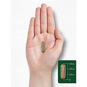 Carlyle Ginkgo Biloba Pills | 6000mg | 200 Capsules | Maximum Strength | Non-GMO, Gluten Free Supplement