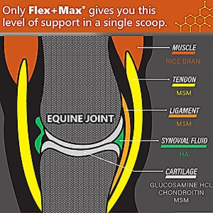 Absorbine Flex+Max Horse Joint Supplement Pellets, Highly Palatable, Comprehensive Equine Formula with Glucosamine, MSM, Chondroitin & Flaxseed, 10lb Tub / 60 Day Supply