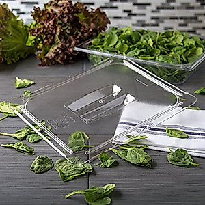 Carlisle FoodService Products 10230U07 StorPlus Half Size Polycarbonate Universal Handled Food Pan Lid, Clear