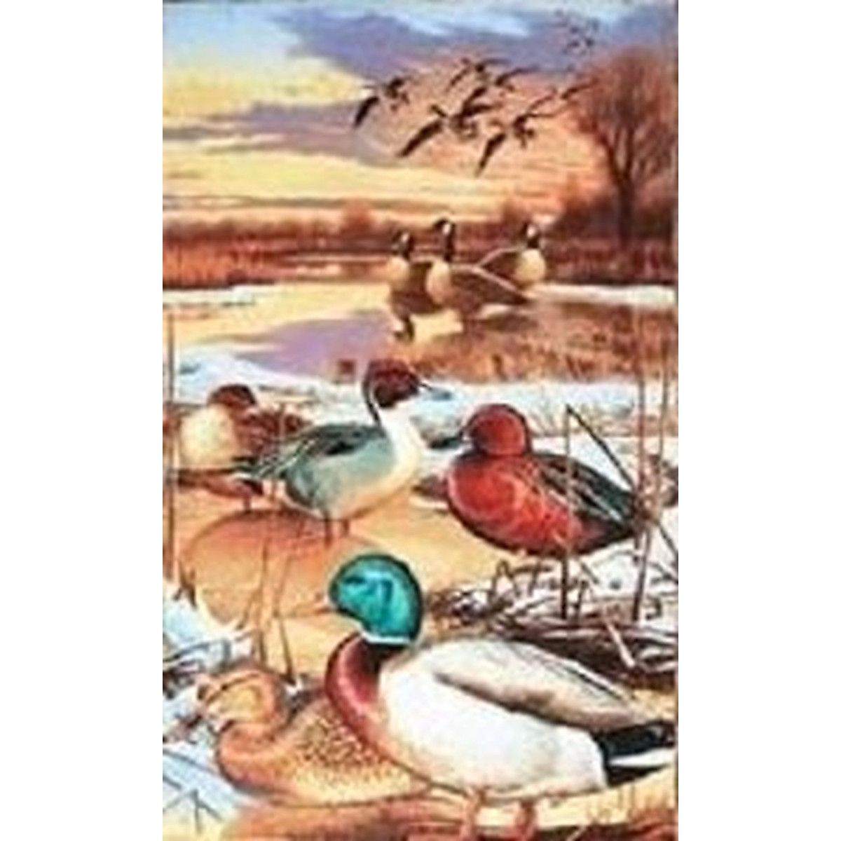 Duck Duck Goose 9116 482 from Wilmington by The Panel