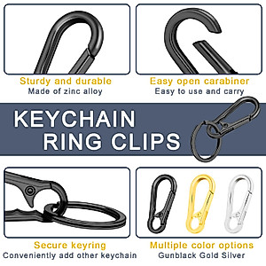 4Pack Small Keychain Rings, Metal Key Carabiner Clip, Mini EDC Key Ring Chain Holder Organizer for Purse Charm Hook, Car Keychain, Paracord Keychain Lanyard, Men and Women Key Fob (Gun Black)