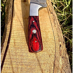 W TRADING Handmade Damascus Steel Hunting Knife Survival Fixed Blade Knife with Red Pukka Wood-Damascus Steel Blade Skinning Camping Knives For men and women With Leather Sheath